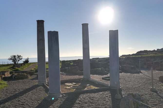 Tour of the Archaeological Area of Nora, entrance fees included - Scenic Drive and Wildlife Watching