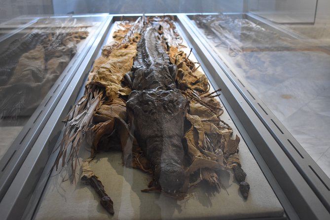 Tour of the Archaeological Museum of Naples - Meeting Point and Booking Information