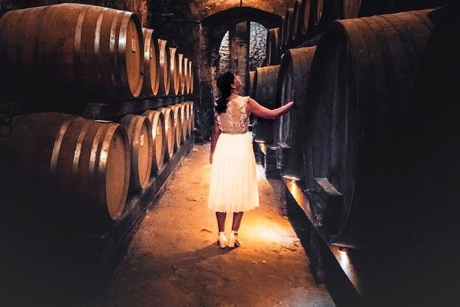 Tour of the historical cellars in Montepulciano - The Reviews in a Nutshell