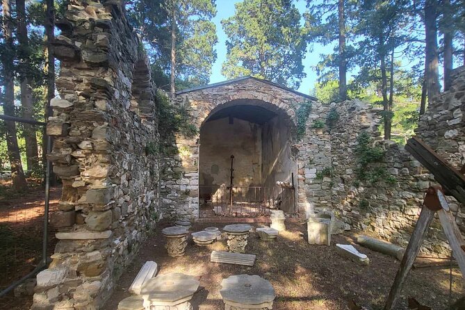 Tour of the Historical Museum and Miramare Castle Park in Trieste - Who Will Love This Tour?