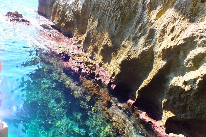 Tour of the island of Ortigia and exploration of sea caves with baths. - FAQ