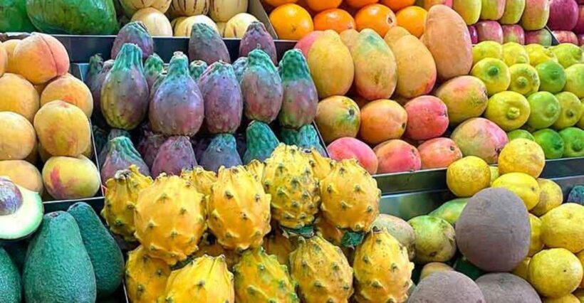 Tour of the markets of Lima with tasting - Key Points