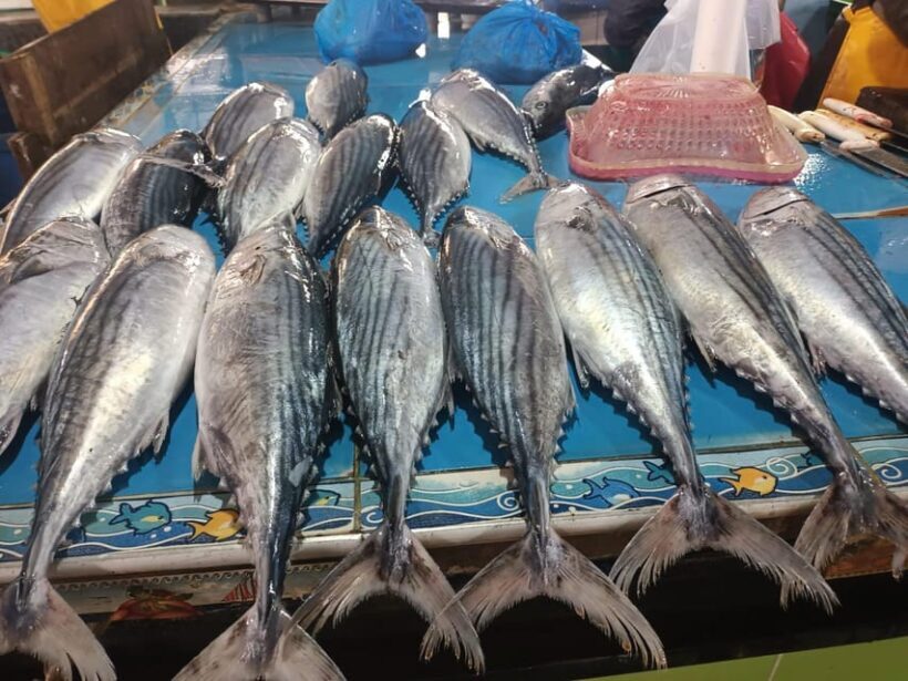 Tour of the markets of Lima with tasting - A Walk Through Lima’s Market Scene