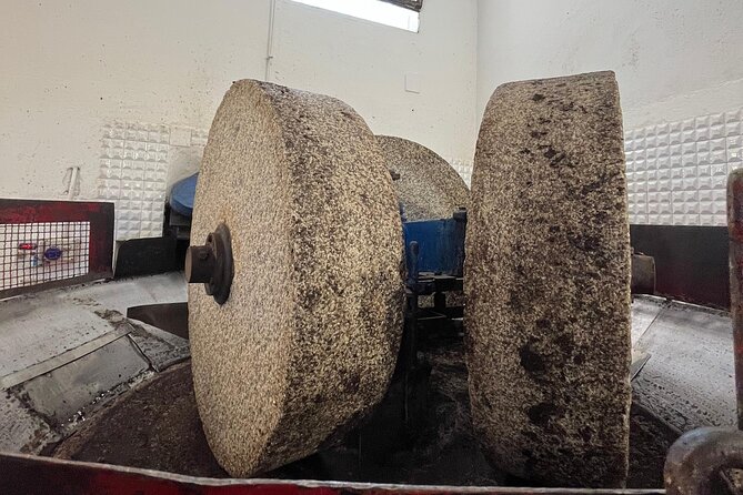 Tour of the oil mill with tasting - Key Points