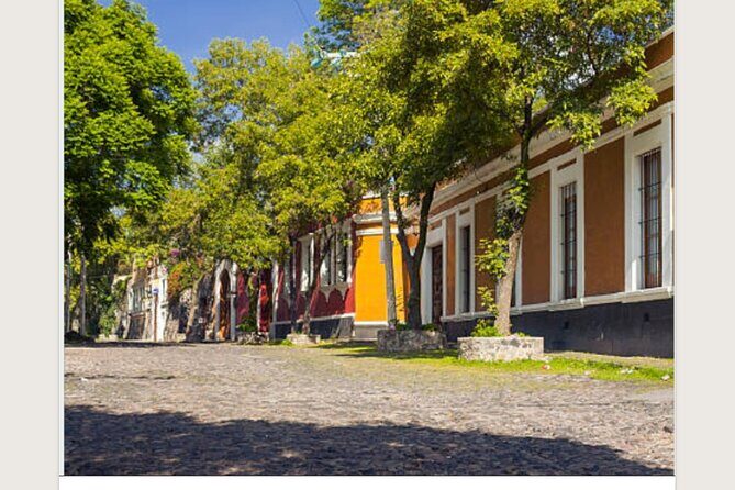 Tour of the picturesque San Angel neighborhood - What’s Included