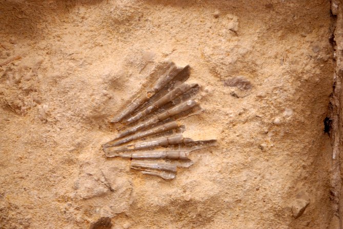 Tour of the Sassi of Matera - What Travelers Say