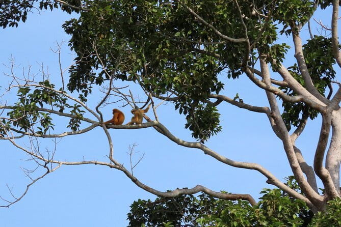 Tour of the Wildlife Rescue Center - Practical Details and Value