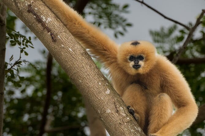 Tour of the Wildlife Rescue Center - Who Will Love This Tour?