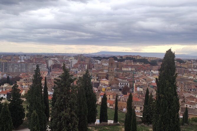 Tour of Tudela and the great desert of Europe. - What Reviewers Say