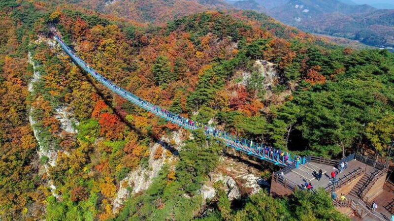 Tour of Wonju, Korea's natural city - Authentic Experiences and Traveler Feedback