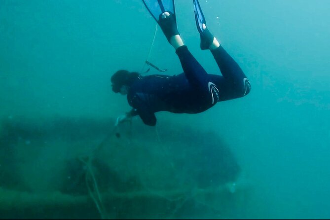 Tour on Boat Along the Coast of Benalmadena With a Lot of Sea Activities!! - Customer Experiences and Feedback