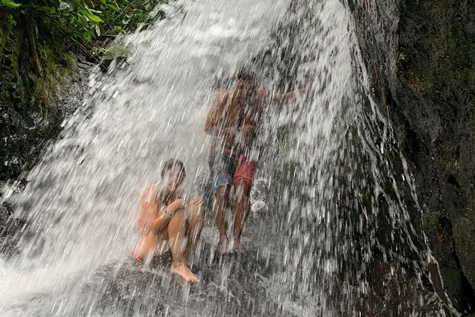 TOUR PACKAGE (jungle trekking, taxi, Room) 4 DAYS 3 NIGHTS in BUKIT LAWANG - Day 4: Farewell to the Jungle and Return to Medan