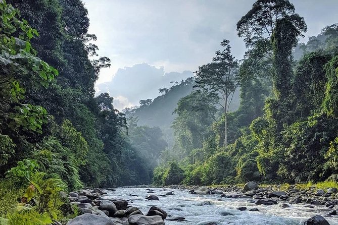 TOUR PACKAGE (jungle trekking, taxi, Room) 4 DAYS 3 NIGHTS in BUKIT LAWANG - The Value Proposition