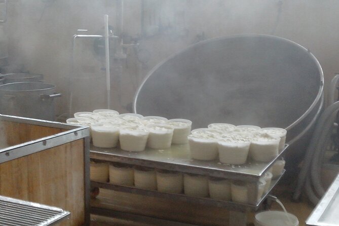 TOUR PALERMO ARABA "A dip in the historical markets and Street Food" - Who Should Book This Tour?