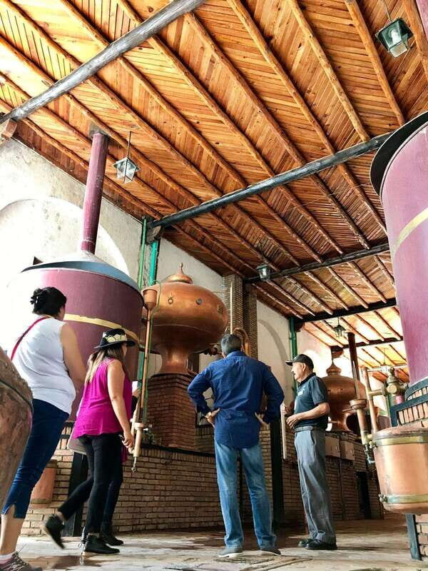 Tour "Parras de la Fuente" + Guía + Traslados + Tickets - Pricing and Value
