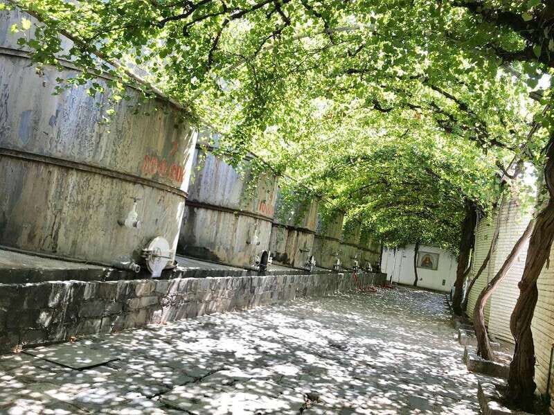 Tour "Parras de la Fuente" + Guía + Traslados + Tickets - Authenticity and Experience Quality