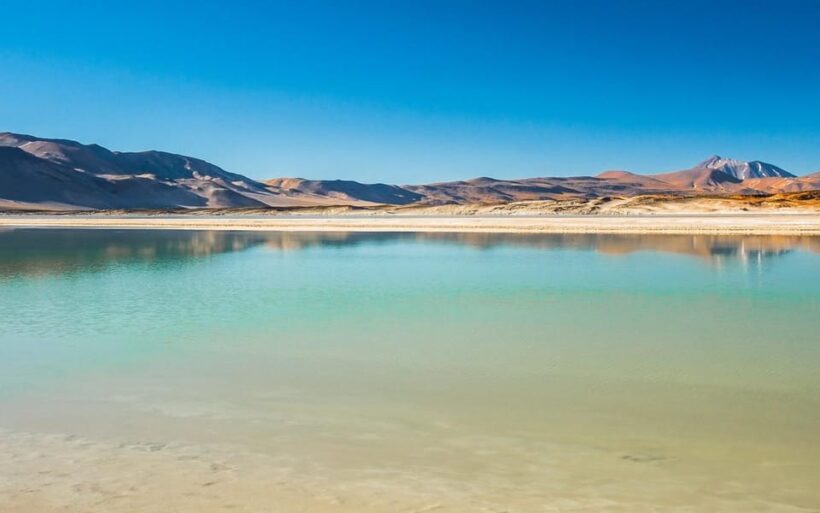 Tour Piedras Rojas + Altiplanic Lagoons + Chaxa Lagoon - Introduction