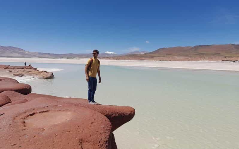 Tour Piedras Rojas + Altiplanic Lagoons + Chaxa Lagoon - Key Points