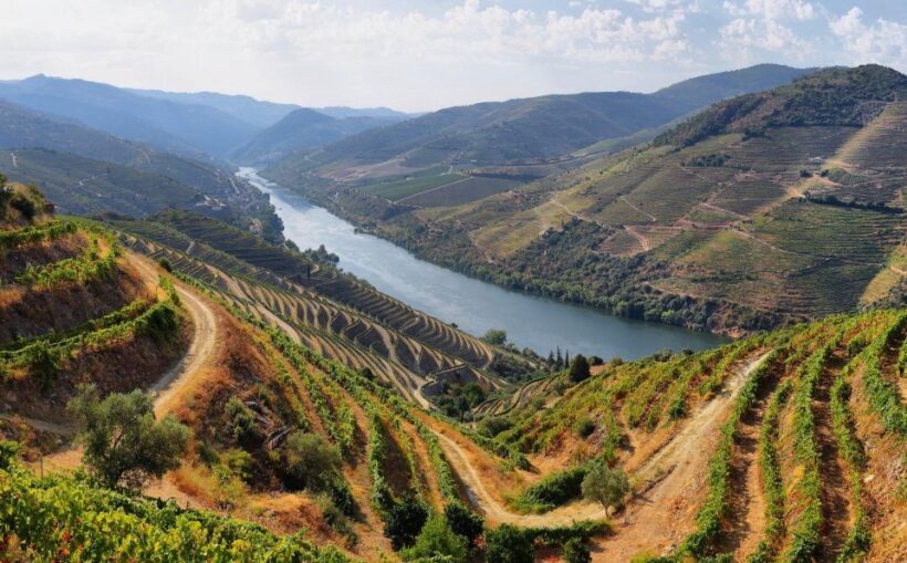 Tour Porto Douro Valley | The richness of Wine | ALL INCLUD. - An In-Depth Look at the Douro Valley Tour