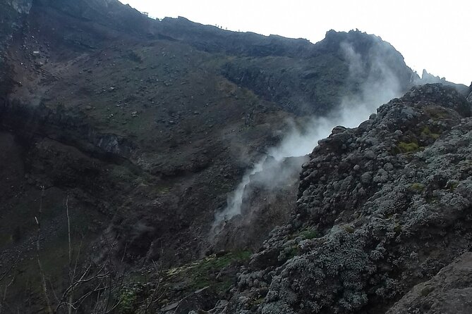 Tour Positano & Sorrento with a lunch stop - Analyzing the Value