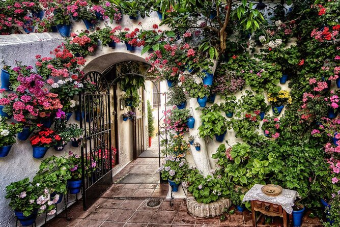 Tour pour la mosquée, l'Alcazar et le quartier juif - Deep Dive into the Highlights