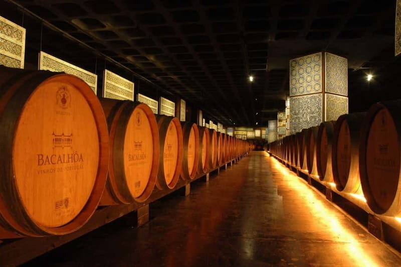 Tour Private Wine Tasting - Tasting Time at Quinta da Bacalhôa