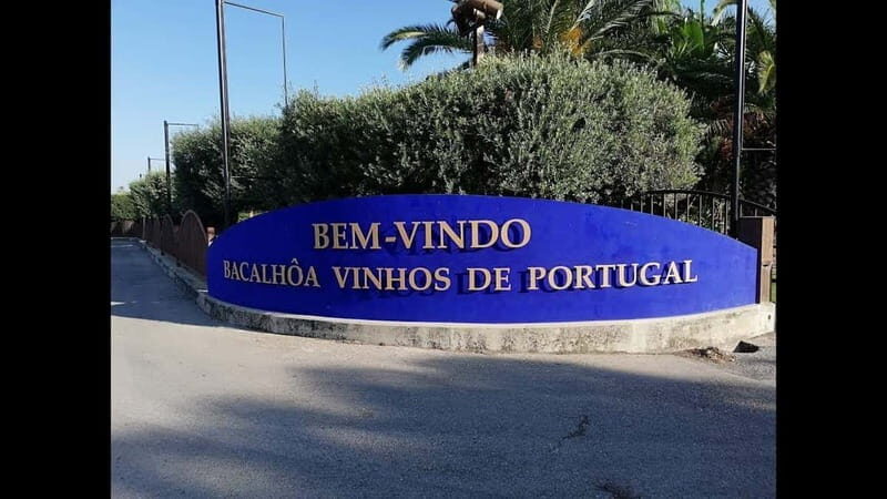 Tour Private Wine Tasting - Exploring Azeitão Village and Optional Lunch