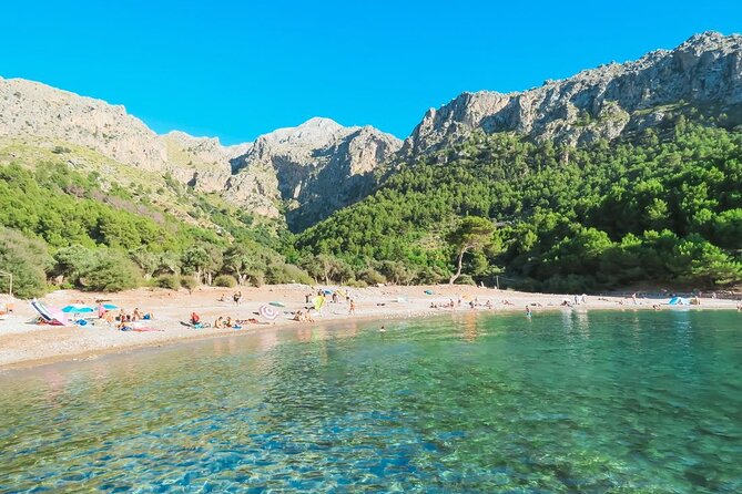 Tour Sa Calobra, Torrent de Pareis y Cala Tuent - The Experience: What Travelers Are Saying
