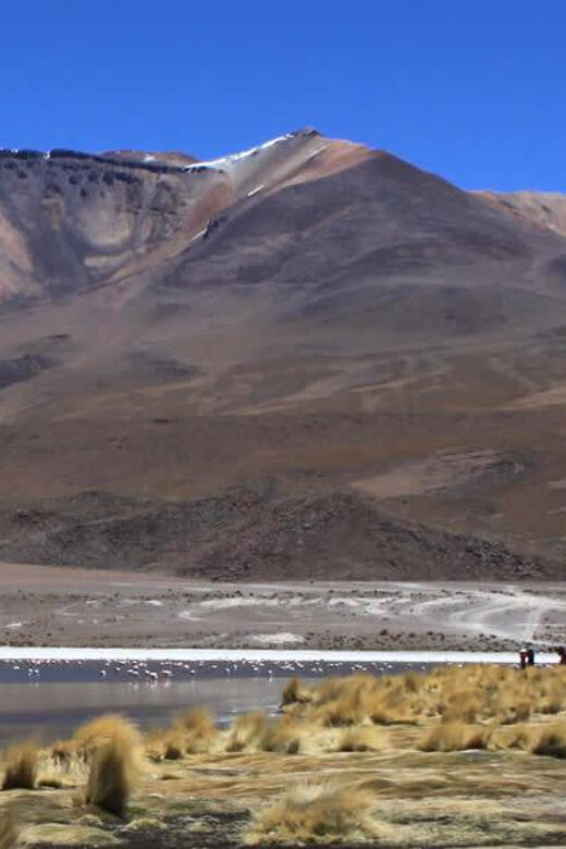 Tour Salar de Uyuni 3D/2N /Laguna Colorada/Geiser/Flamingos - Food and Dining