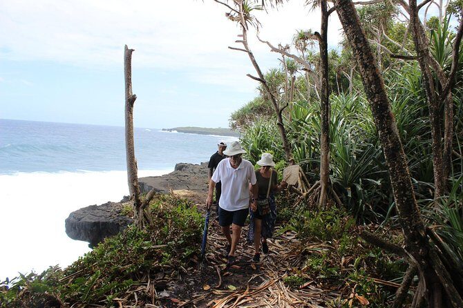 Tour Samoa with a local~ Full Day Island Tour of Apia Upolu Samoa - The Sum Up: Who Will Love This Tour?