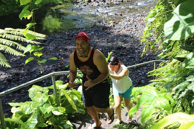 Tour Samoa with a local ~ Half Day Island Tour (Upolu) - Who Should Consider This Tour?