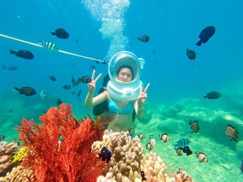 Tour Sea-Walking Nha Trang - Who Would Love It?