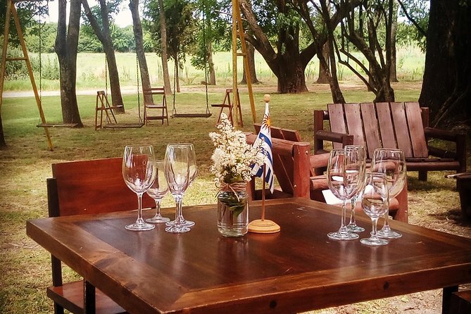 Tour Selection of the Sommelier - Culinary Offerings