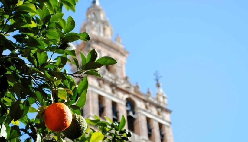 Tour Sevilla de las 3 Culturas - Final Thoughts