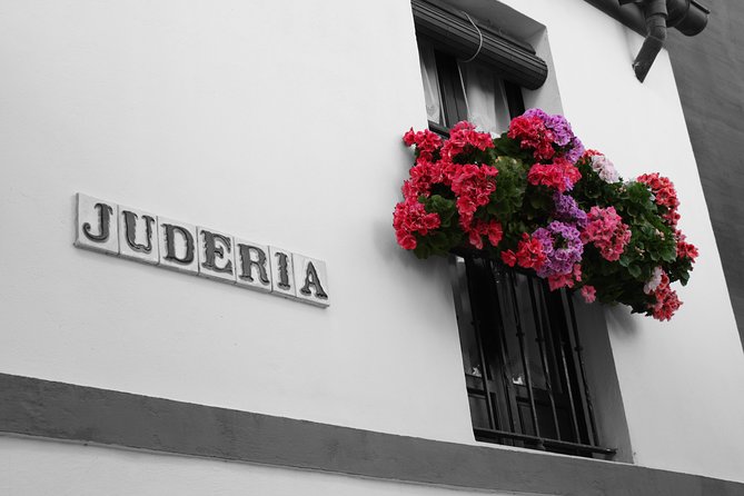 Tour Seville Complete and Jewish Quarter Santa Cruz - Tour Features