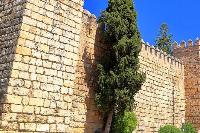 Tour Seville Complete and Jewish Quarter Santa Cruz - Booking Information