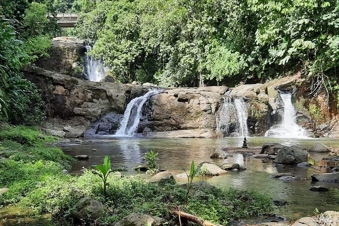 Tour Shaman Medicinal Plants and Waterfalls - Highlights of the Tour