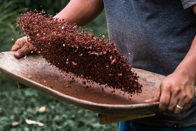 Tour Shaman Medicinal Plants and Waterfalls - Transportation and Pickup Details