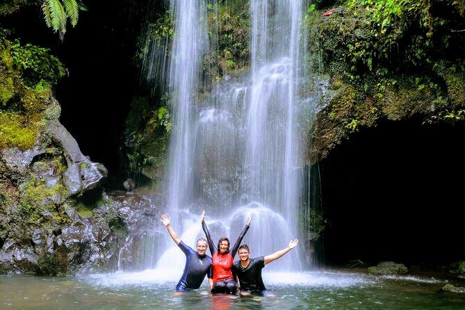 Tour Tahiti in Private - Efficient and Comfortable Transportation