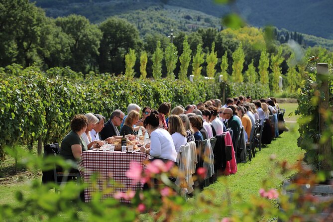 Tour & Tasting - Details of the Itinerary