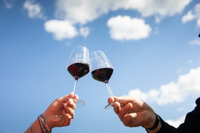 Tour Tasting & platter at an Organic Winery - Panzano in Chianti - Introduction