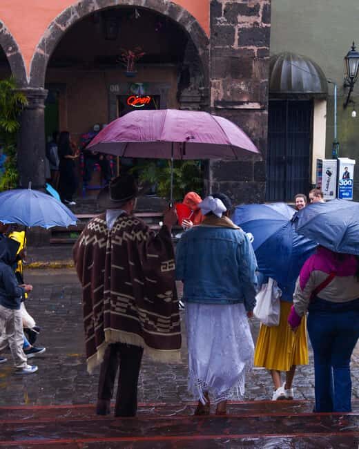 Tour Tequila Loreta Travel&Tour - An In-Depth Look at What You Can Expect