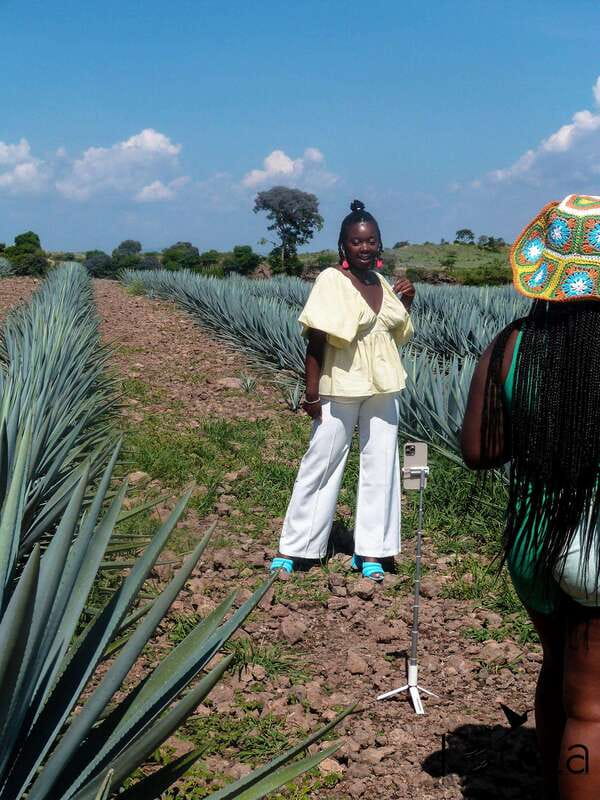 Tour Tequila Loreta Travel&Tour - What’s Included and What to Know