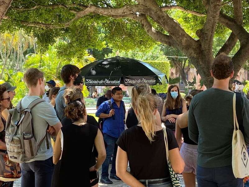 Tour the great city of Mérida, Yucatán - What reviewers say