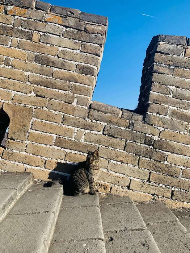 Tour the Great Wall with a Native from Downtown Beijing - The Sum Up