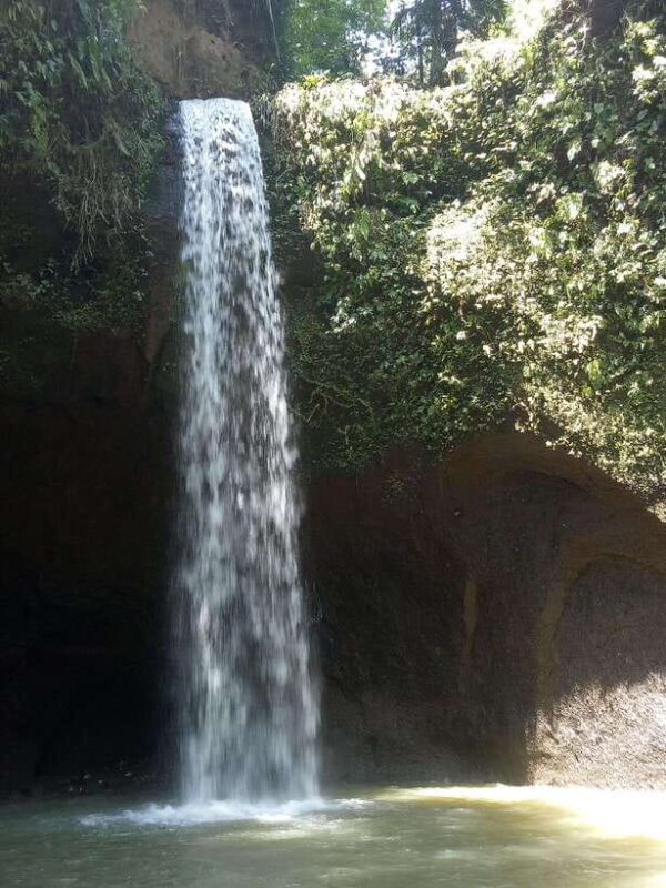 Tour the island of Bali with expert tour guides in Spanish. - Transportation, Timing, and Practicalities