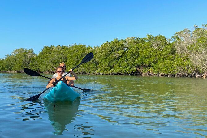Tour the Mangroves in Kayak by Isla Holbox - A Deep Dive into the Kayak Mangrove Tour
