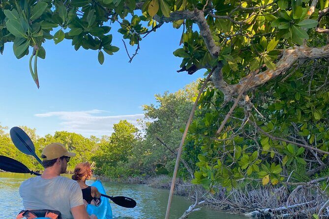Tour the Mangroves in Kayak by Isla Holbox - Frequently Asked Questions