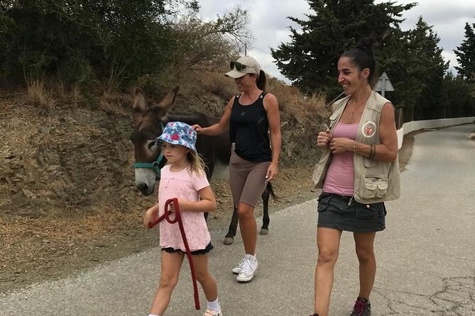 Tour the Sanctuary and Walk with the Donkeys and Share their Love - Authenticity and Connection