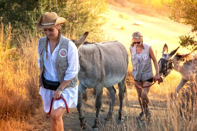 Tour the Sanctuary and Walk with the Donkeys and Share their Love - Who Will Enjoy This Tour?